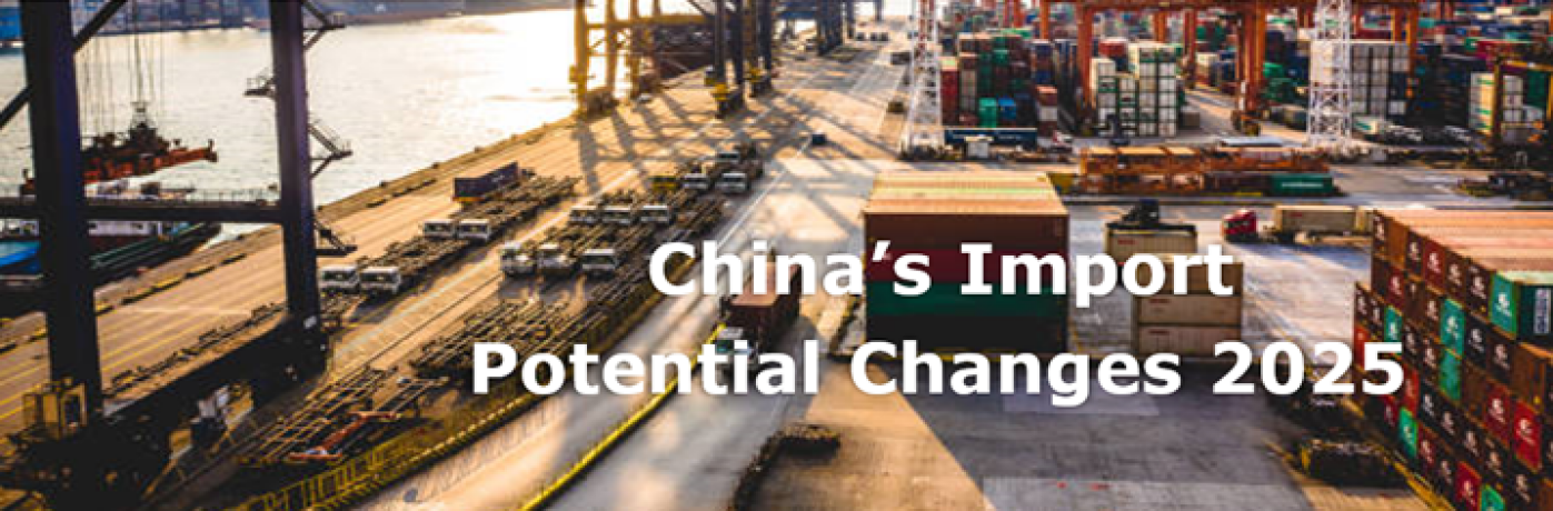 China’s import potential changes 2025