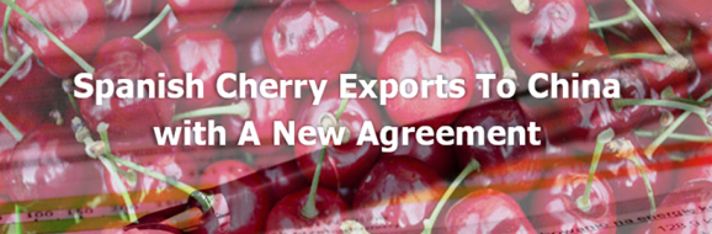 Spanish cherry exports to China with a new agreement