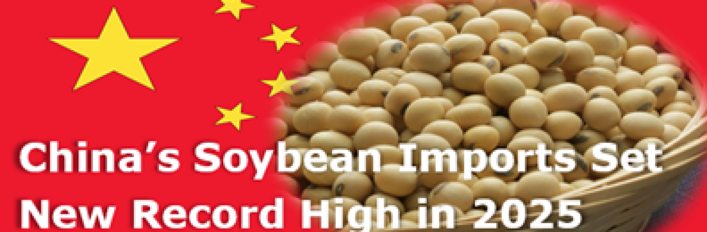 China’s soybean imports reaching new record high in 2025