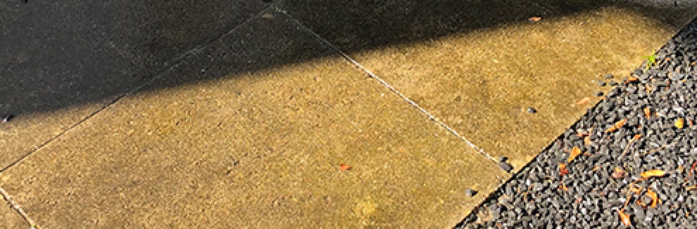 Natuurlijke enzymen (voor reinigen terras)