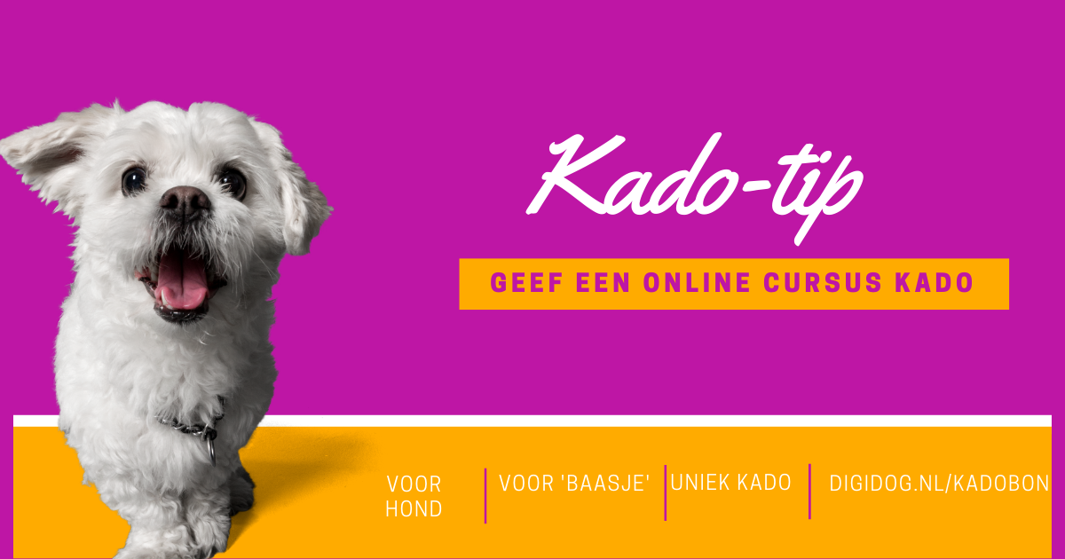Kadobon Online cursus voor hond en honden-eigenaar