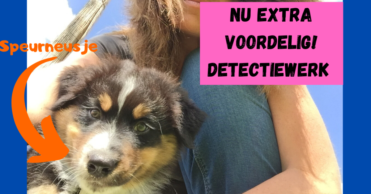 Detectie-speuren: online proefles: ontdek detectiewerk met je hond