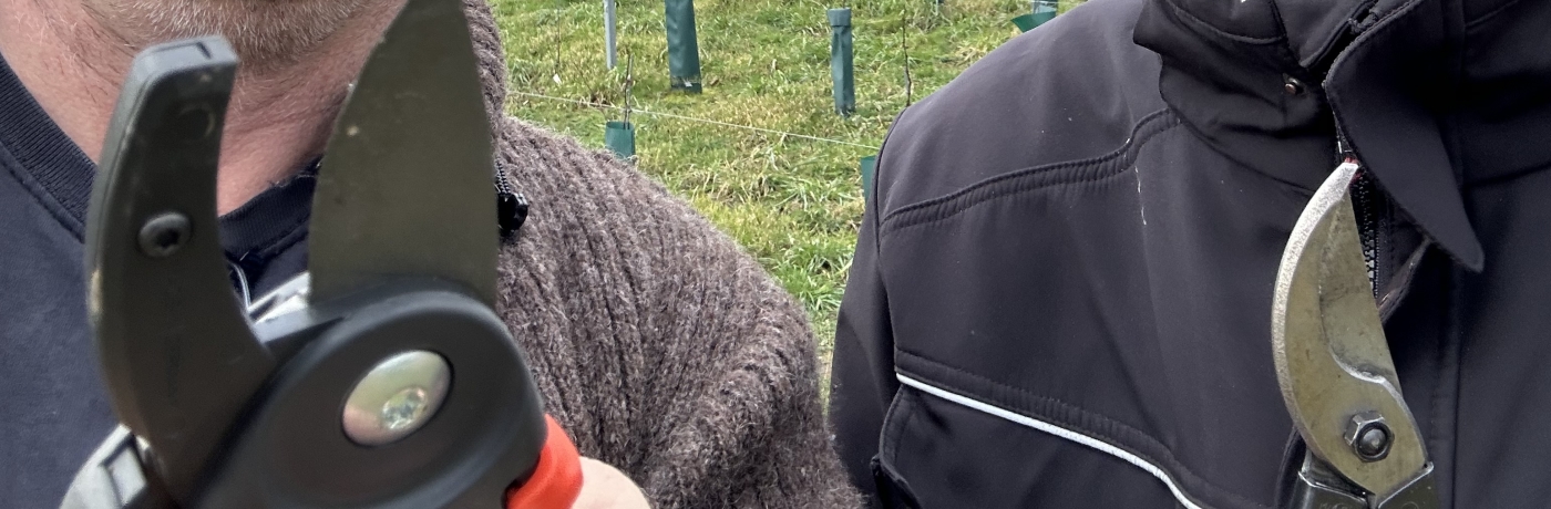 Zachte Snoei-methode