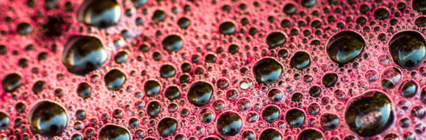 Malolactische gisting: van zuur naar zacht