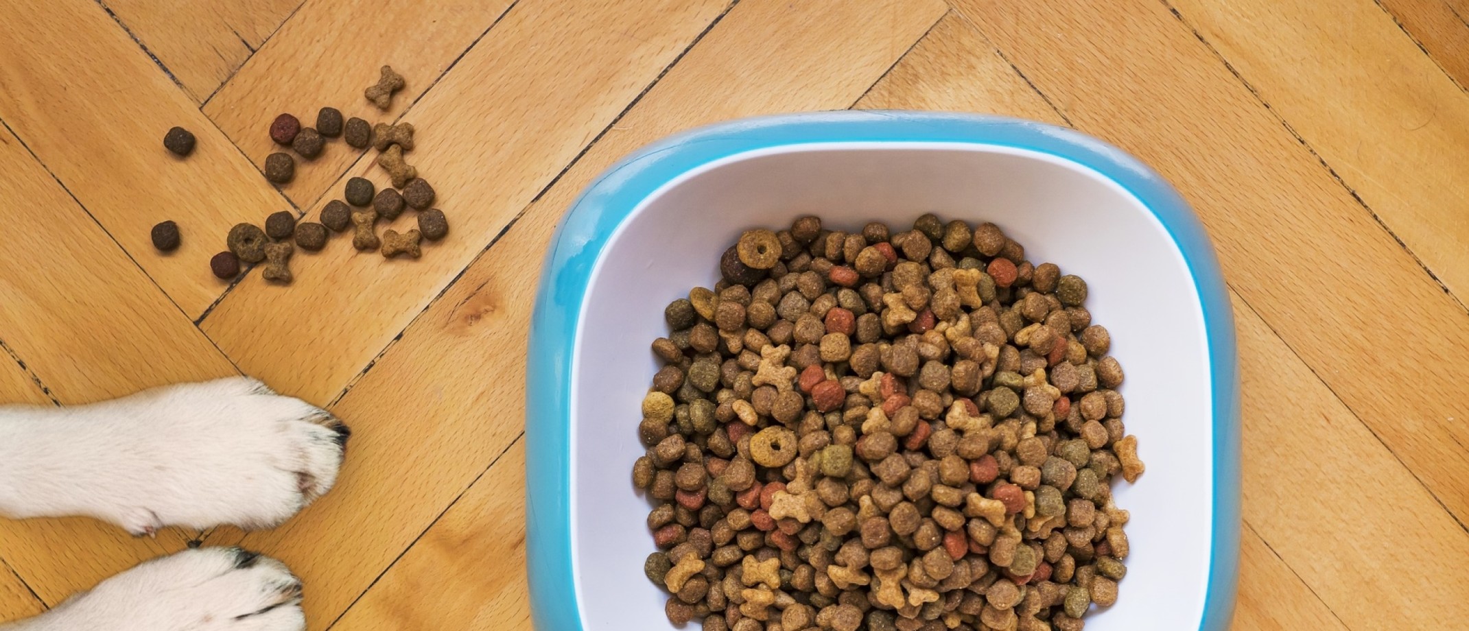 Duitse herder vlees of brokken