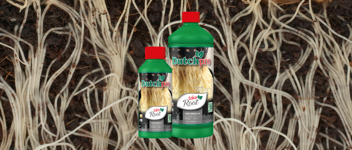 Dutchpro Nutrients USA | Premium Plant Fertilizers
