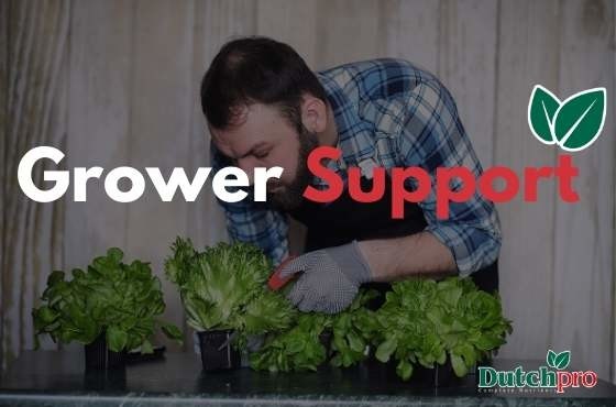 Dutchpro Nutrients - Make Growing Simple Again