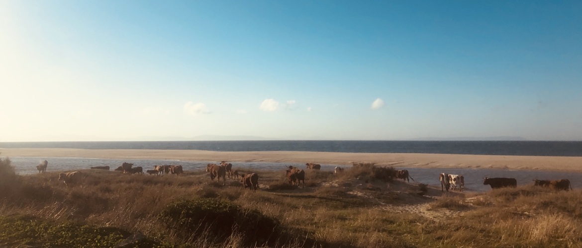 Is het geluk of is het pech? | Prille liefde | Ellen Postma