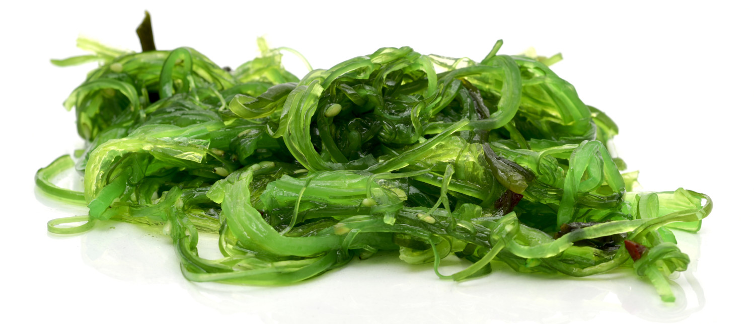 Plantaardig voedsel uit de zee; gezond en goed voor de planeet