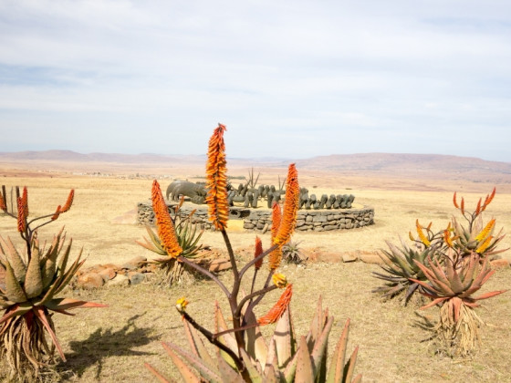Battlefields Route Zuid-Afrika | Informatie | Exclusive Culitravel