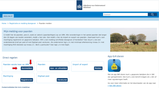 Handleiding: Eerste keer aanmelden paarden op uw UBN