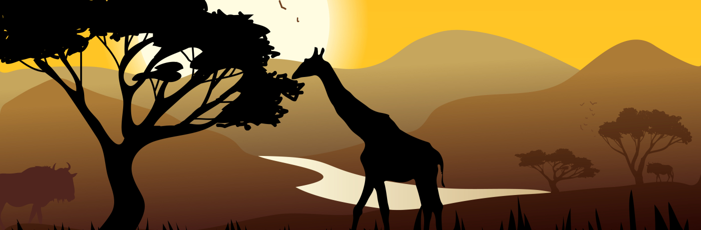 Stappenplan SAPS Police Clearance Certificate (PCC)