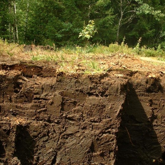Grondsoorten in je tuin aanpassen en verbeteren