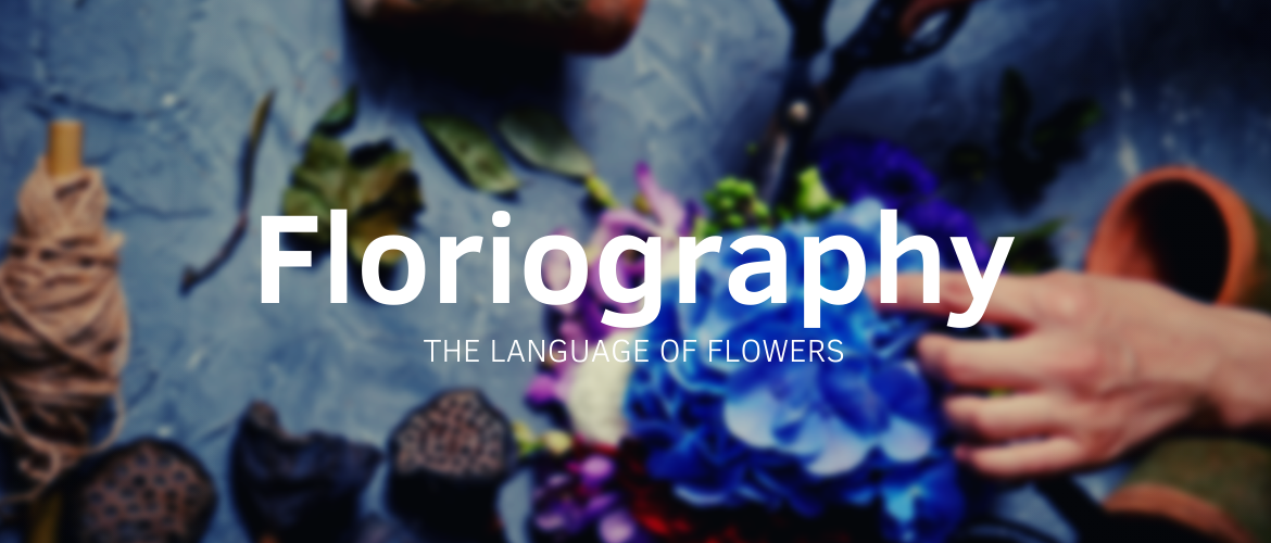 Floriography; the language of flowers Floriography; the language of flowers