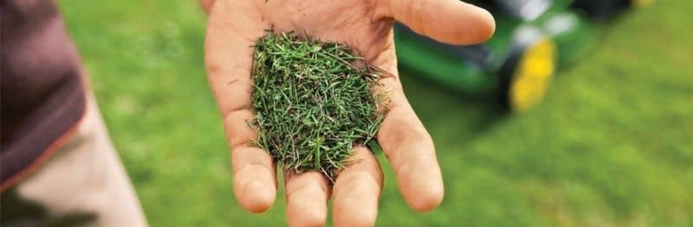 Wat is mulchen en hoe verbetert het je tuin én gazon?