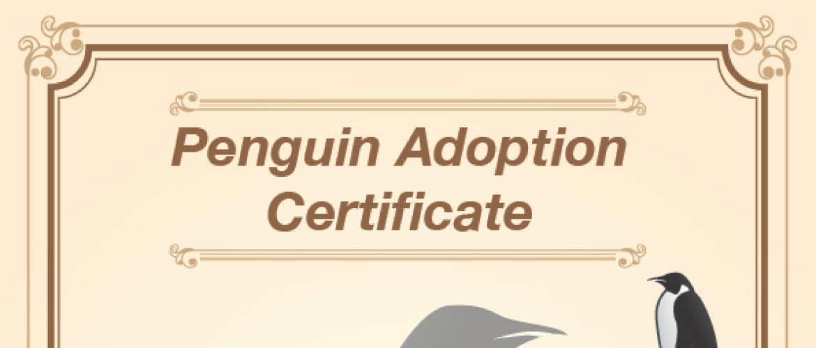 Portfolio van Gerard van der Krieke | Penguin Adoption Certificate