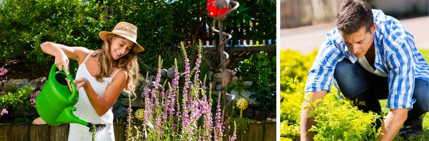 Tuinieren voor Beginners: Tips en Adviezen - Geregeld24