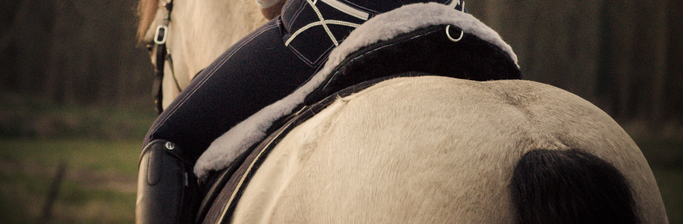 Know What to Teach Your Horse: Why a Clear Vision Improves Results by ...