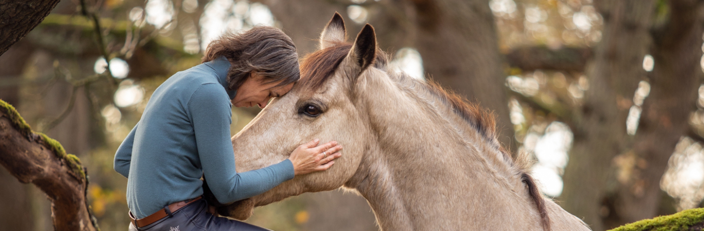 Why Your Horse Isn’t Your Therapist: Leave Your Problems at the Stable ...