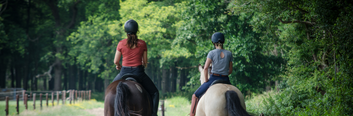 Why Getting Off Your Horse Isnt Giving Up – Its Good Horsemanship by ...