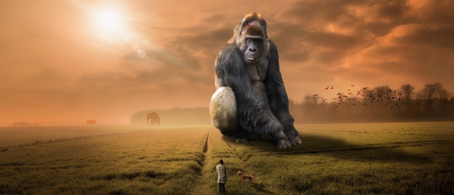 Waarom lucide dromen spiritueel en down to earth tegelijk is…