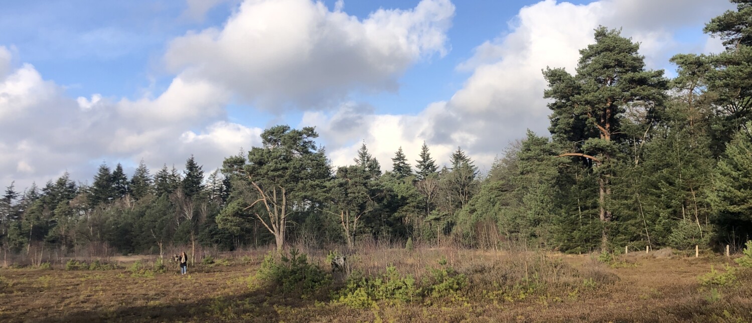 Van donker naar het lciht