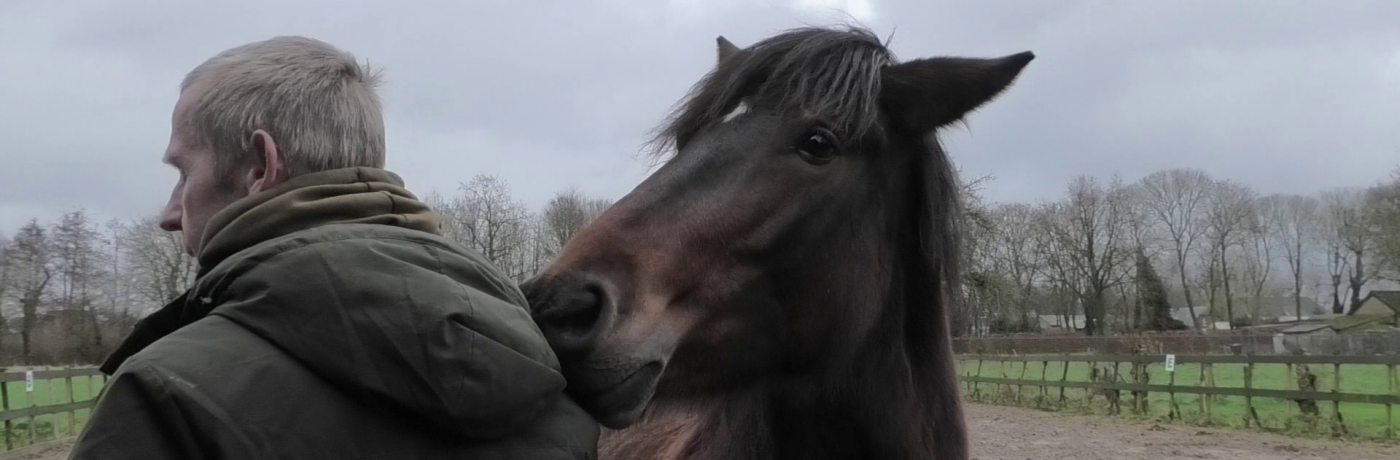 Een bijtend paard, hoe komt dat?