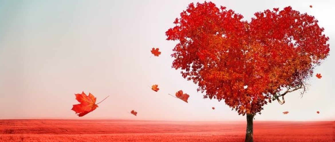 Het verschil tussen verliefdheid en een liefdesverslaving