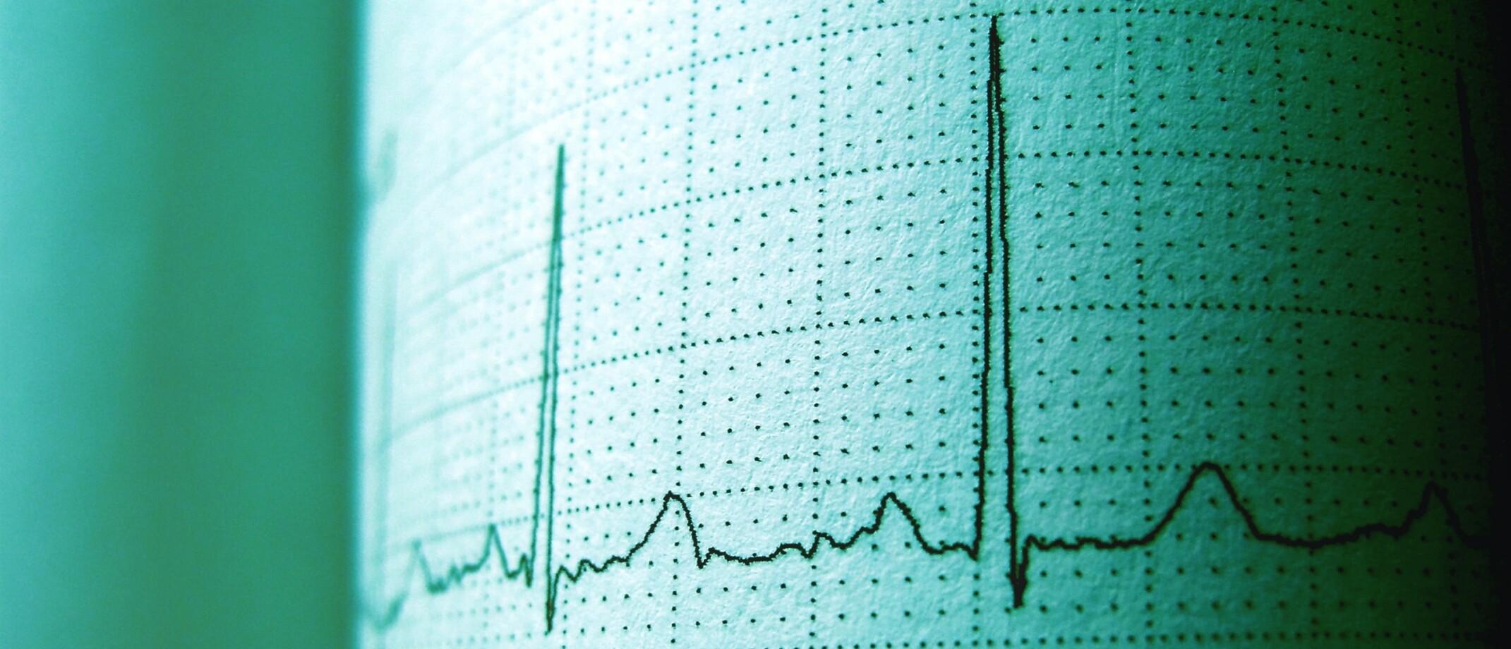Uitleg over het menselijke lichaam