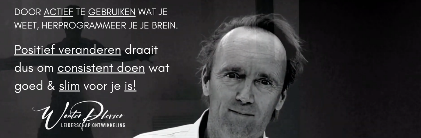 Verandermanagement: effectieve strategieën om je te helpen met ...