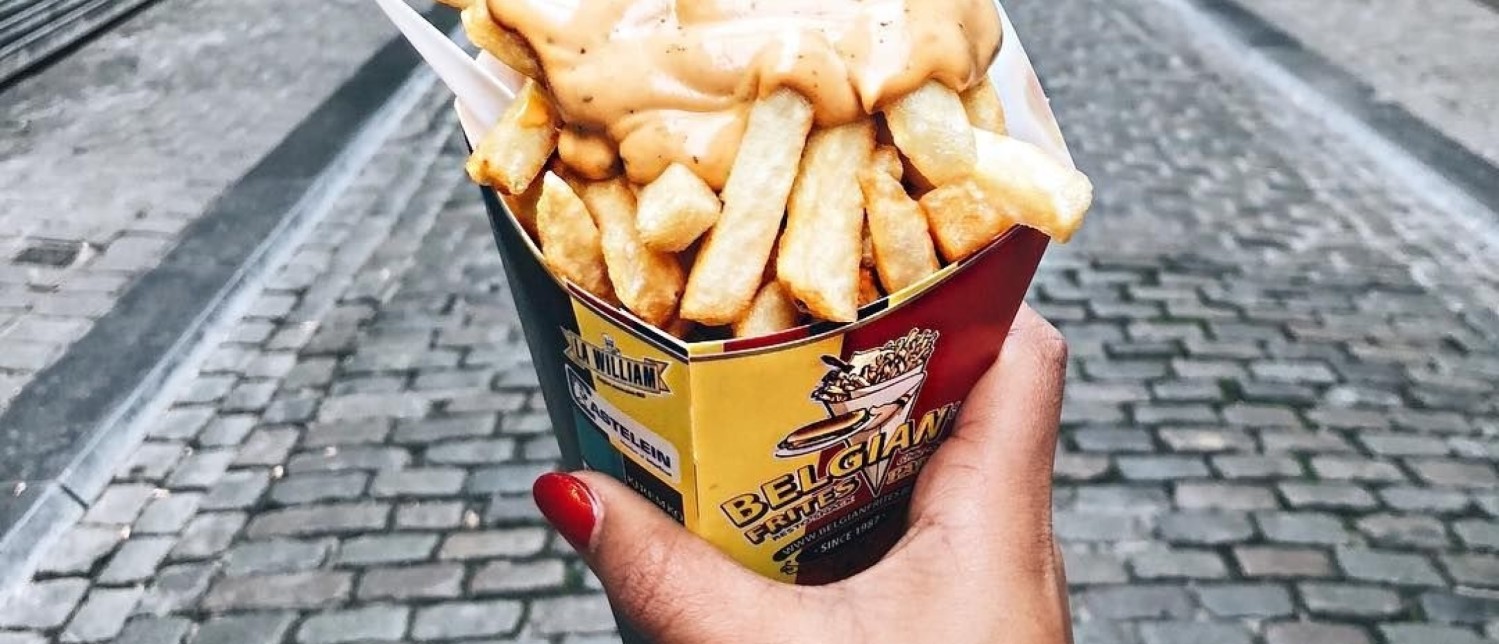 Apprendre le flamand