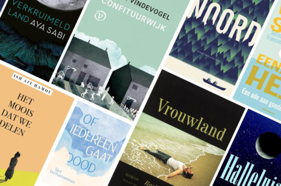 Apprendre le flamand