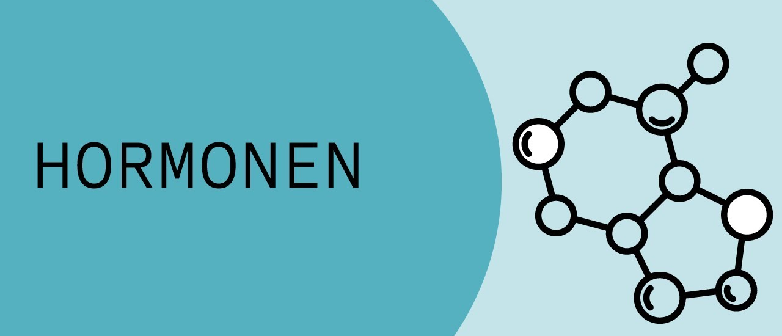 Hormonen