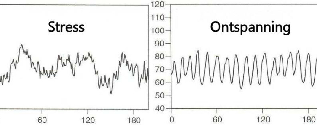Hartritmevariabiliteit | HRV Meting en Hartslagvariabiliteit Waarden!