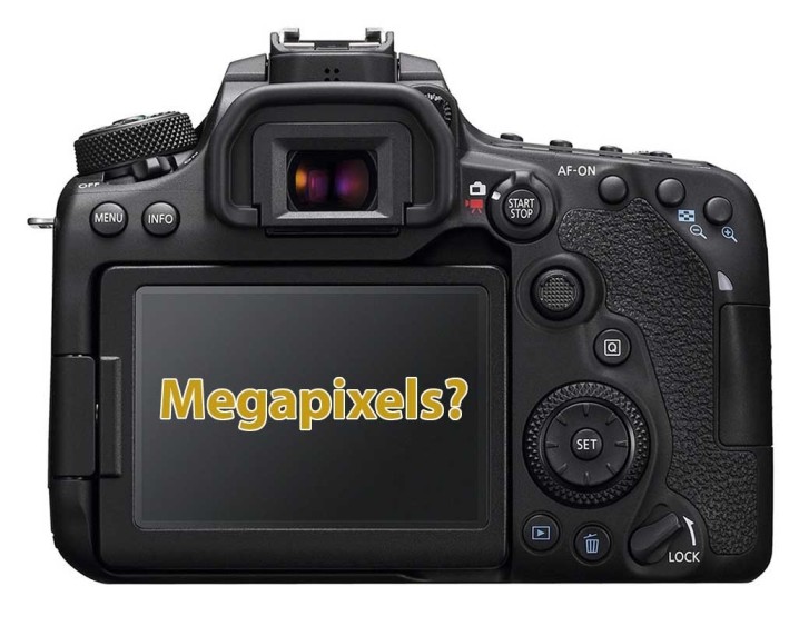 Veel Megapixels: Belangrijk of toch niet? Nadelen & Voordelen