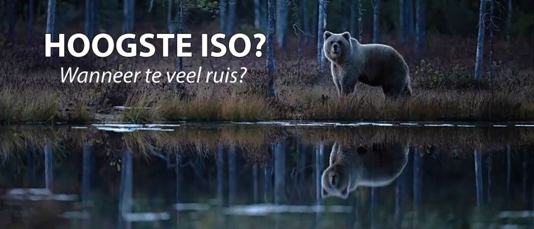 Wat is ISO in Fotografie? | duidelijke Video en fotos