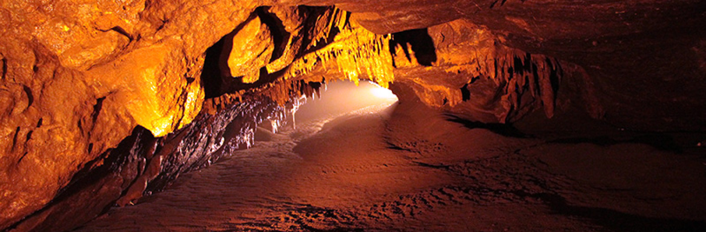 Grotten van Han bezoeken met (kleine) kinderen