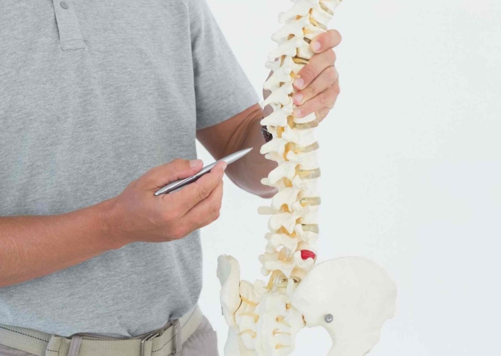 Rugpijn Spit? Wat is het? | Pijnvrij door de Lage Rugpijn Fysio