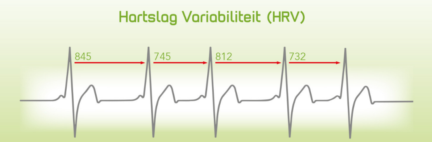 Je ademhaling bepaalt je stressniveau