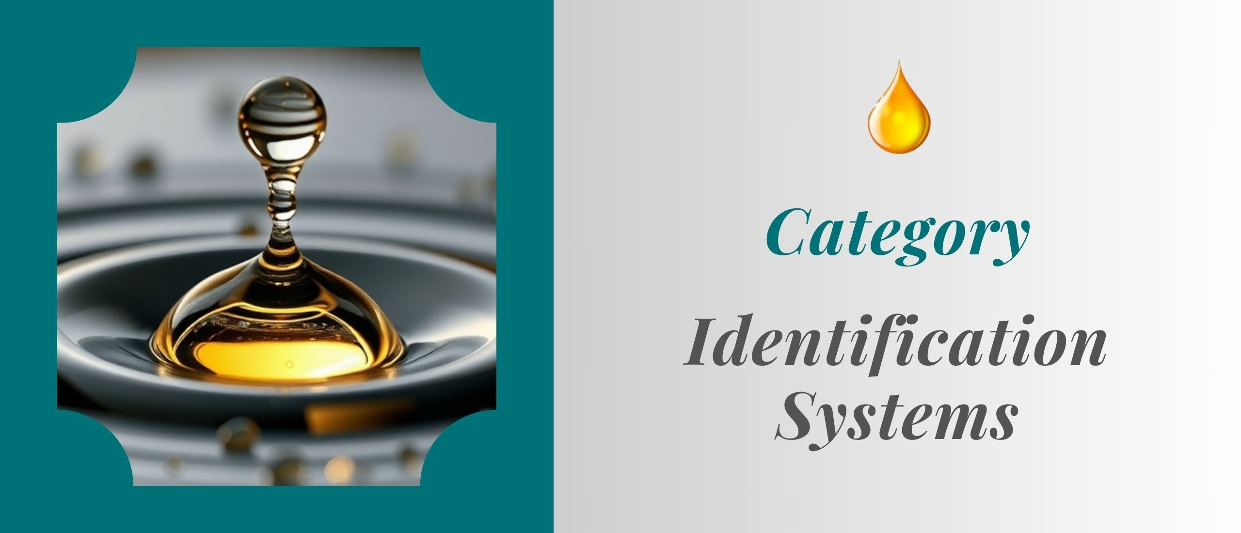 Oil Identification Systems for Safe and Accurate Lubrication Management