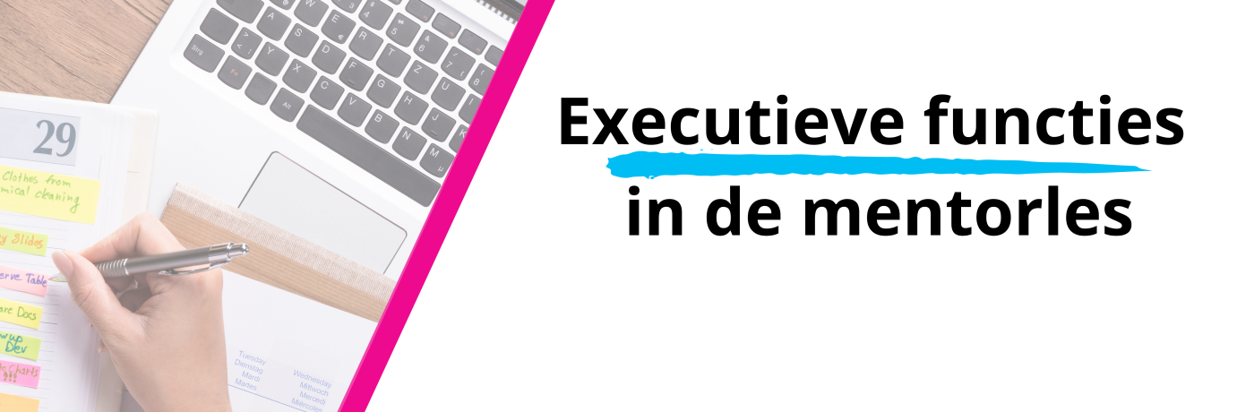 Executieve functies in de mentorles