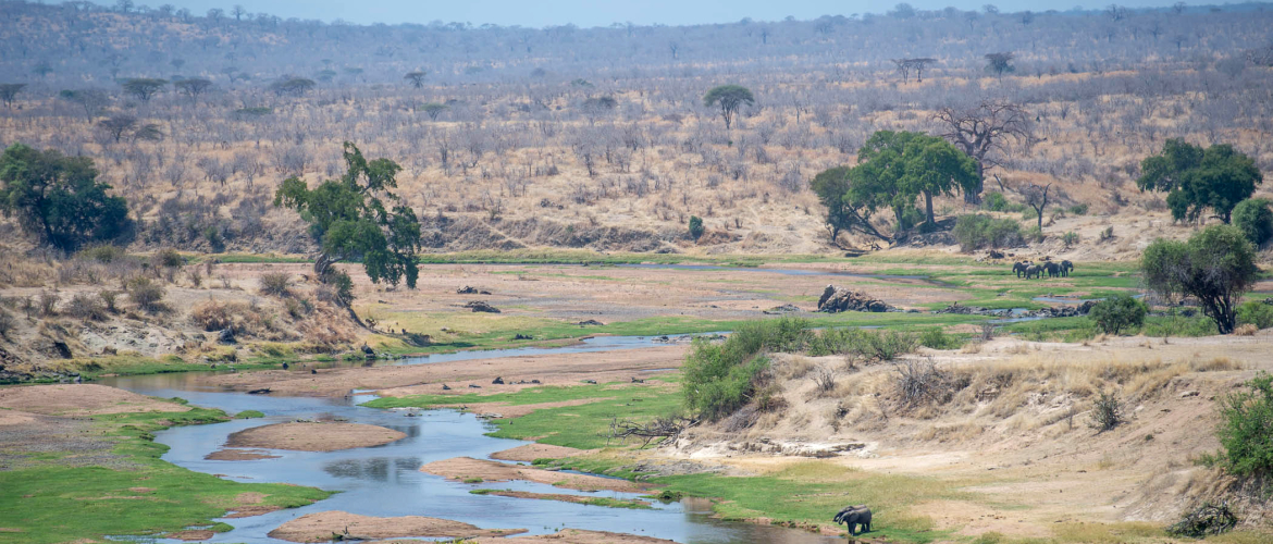 Ruaha National Park Tanzania | Safari reis Tanzania