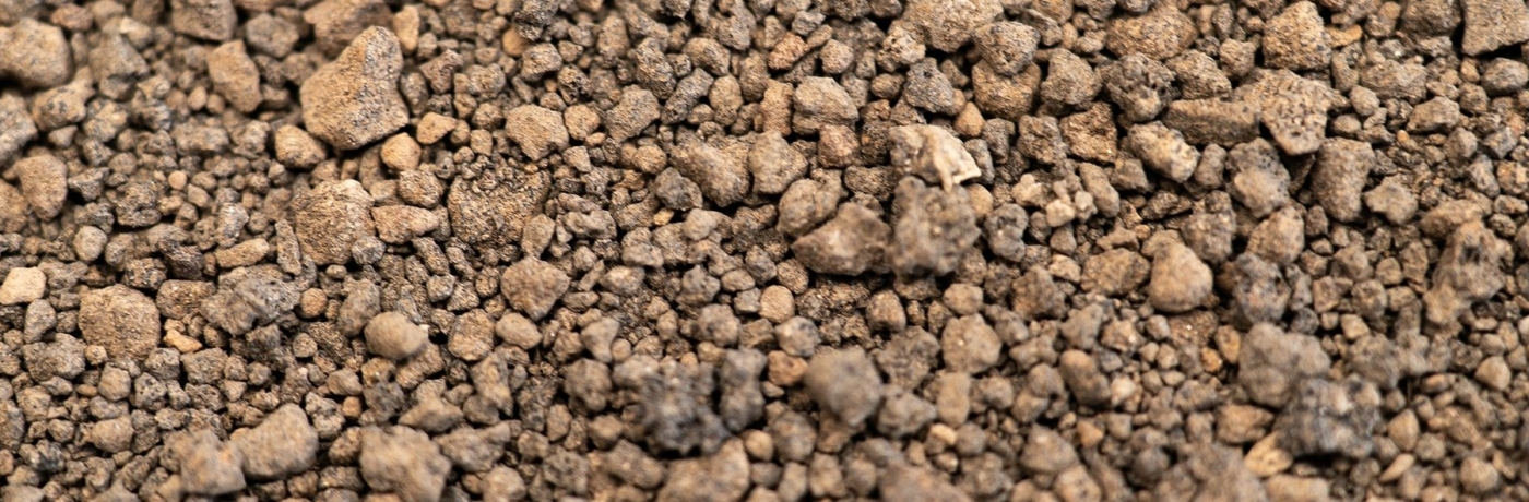 Zo gebruik je spoorelementen om je gazon diepgroen en gezond te houden ...