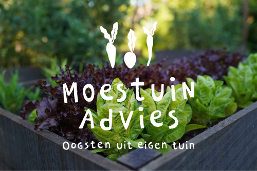Over ons - Moestuin Advies