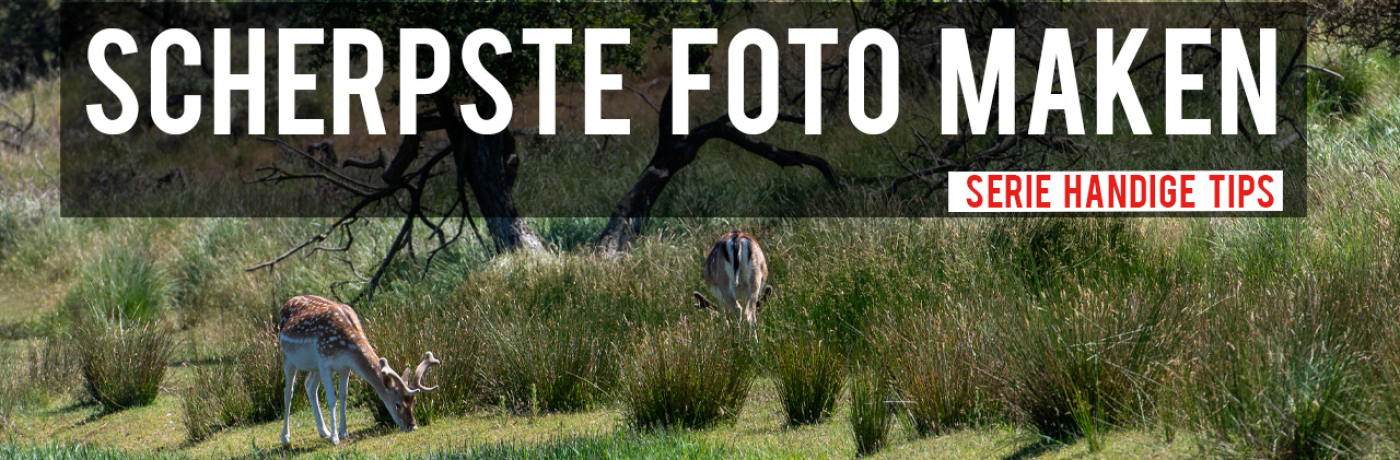 Hoe Maak Je Scherpere Foto’s? 8 Onmisbare Tips voor Ultieme Scherpte