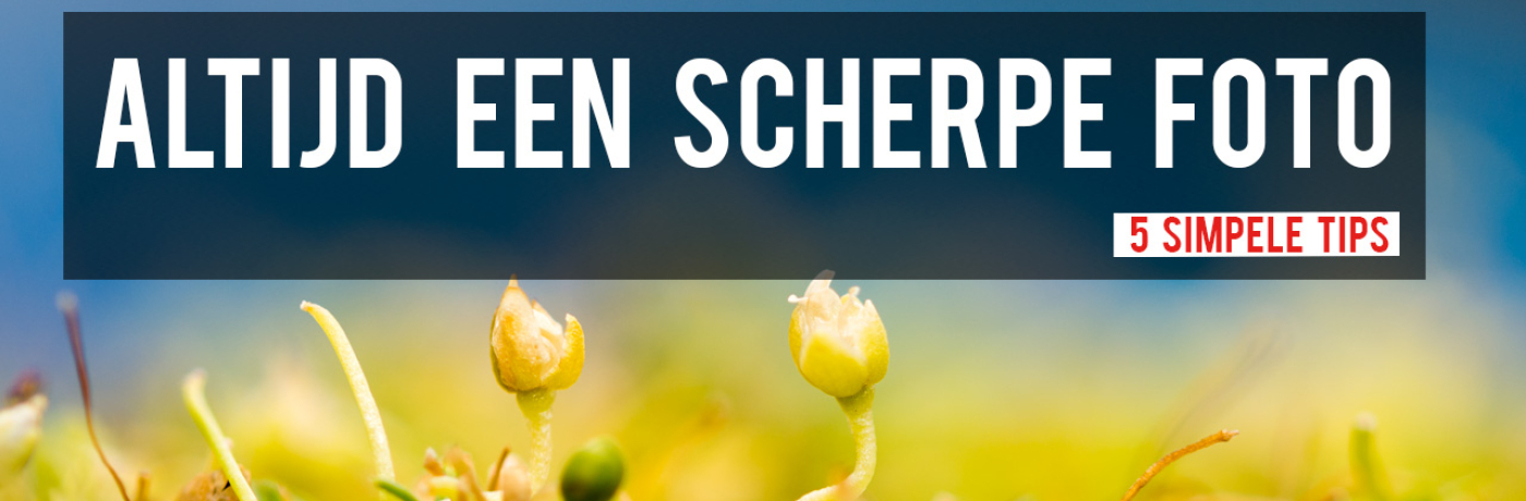 Scherpe fotos gegarandeerd: 5 eenvoudige stappen voor perfect resultaat