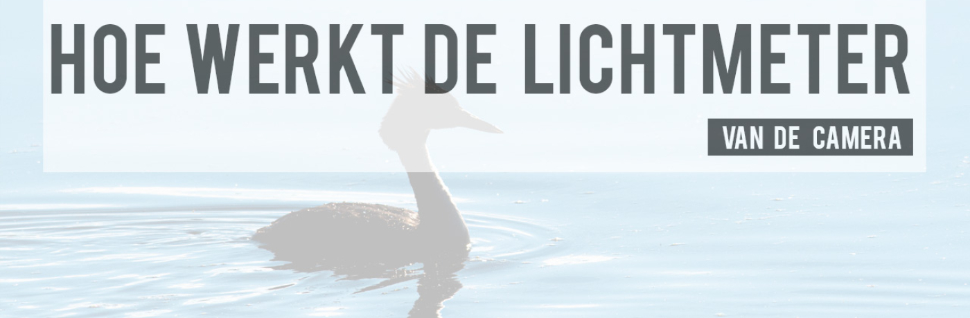Begrijp de Lichtmeter van Je Camera voor een Perfecte Belichting