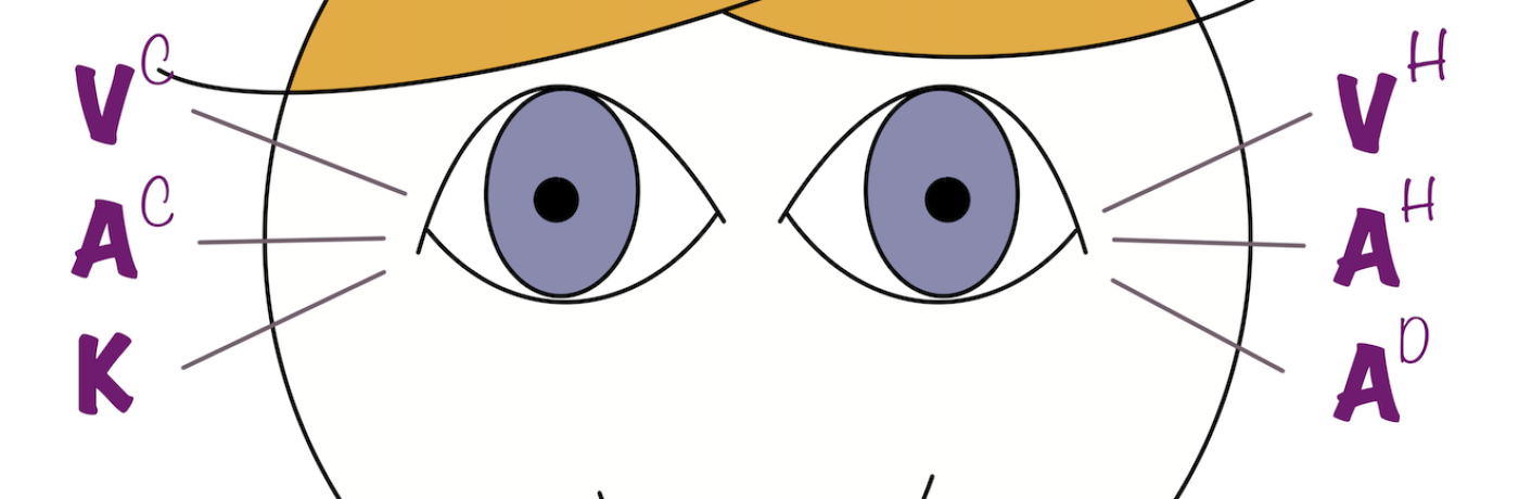 Wat is het belang van observeren van oogbewegingen?