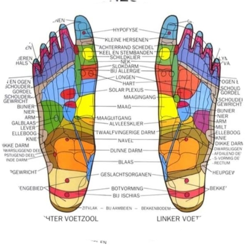 Online Foot Reflexology Course
