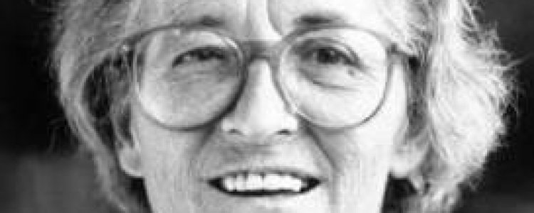 Duaal Procesmodel Werkt Beter